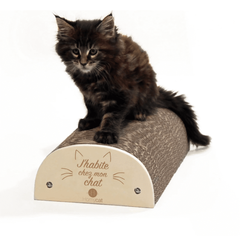 Griffoir Pour Chat Homycat "J'habite chez mon chat"